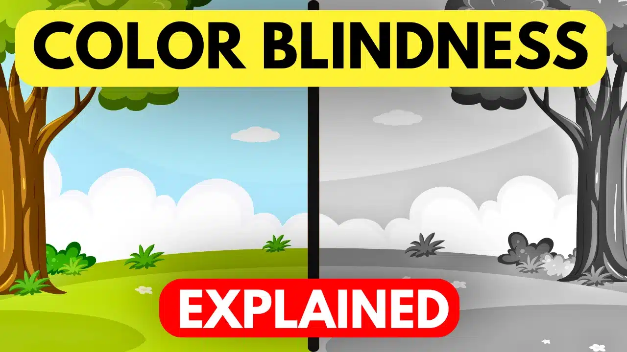 Color Blindness: Types, Causes & Effects - Eye Conditions Explained